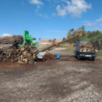 Chi Siamo - Spanu Davide